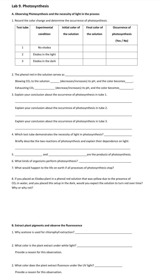 Solved Lab 9. Photosynthesis A. Observing Photosynthesis and | Chegg.com