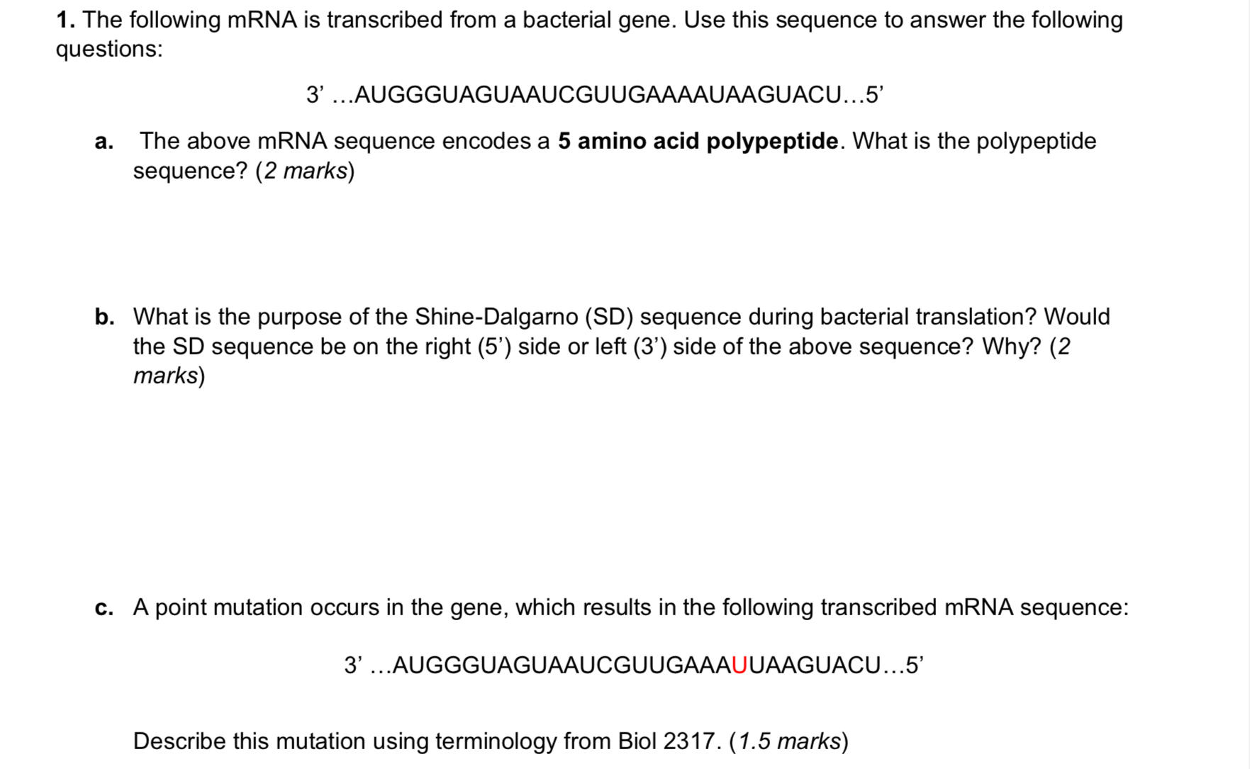 Solved 1. ﻿The following mRNA is transcribed from a | Chegg.com