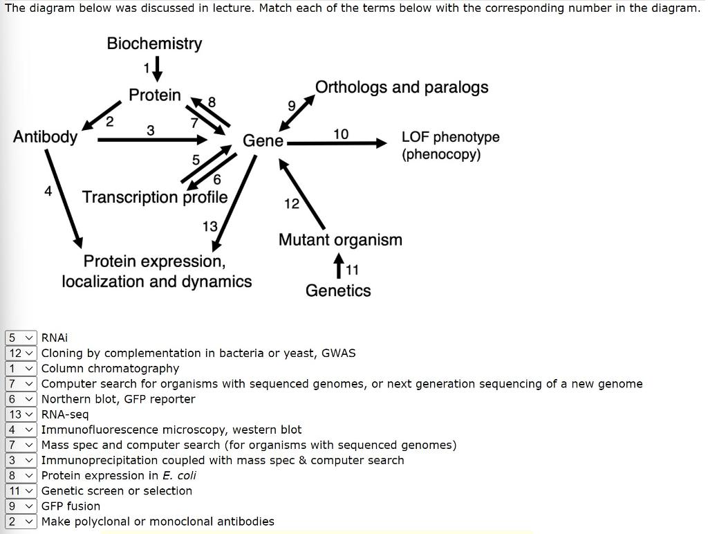 Solved Please check my answers for this question. The | Chegg.com