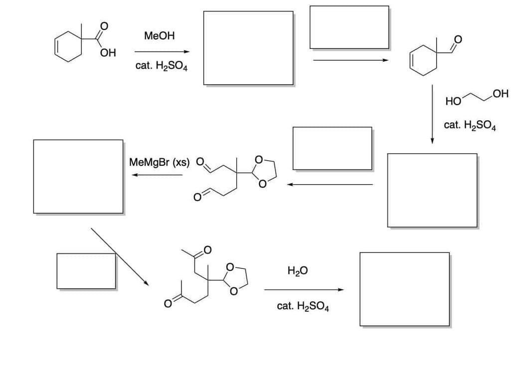 Solved MeOH do OH cat. H2SO4 ОН HO cat. H2SO4 MeMgBr (xs) 0. | Chegg.com