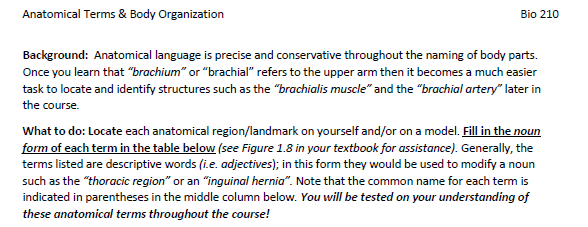 Solved Anatomical Terms & Body Organization Bio 210 | Chegg.com