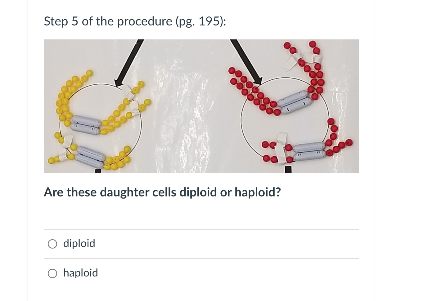 Solved From Activity 8A, pg. 191 - 201 Step 6 of the | Chegg.com