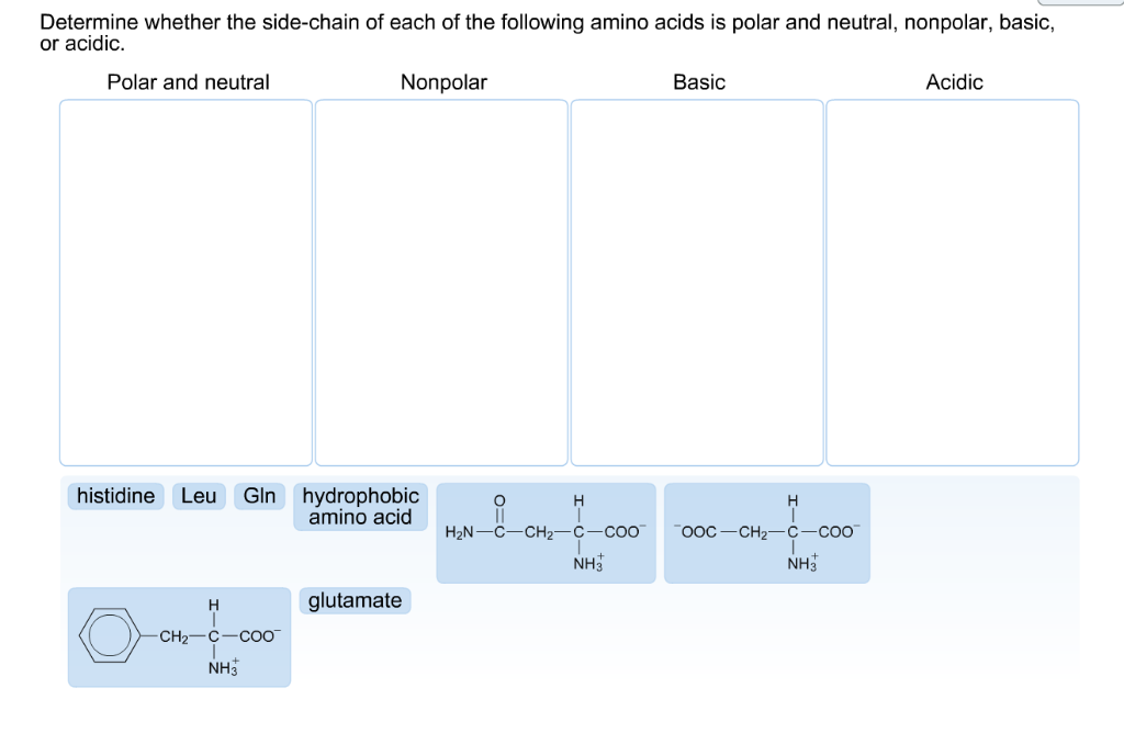 Solved Determine whether the side-chain of each of the | Chegg.com