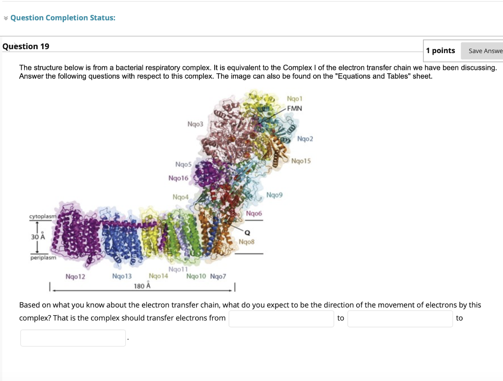 Solved Question Completion Status: Question 19 1 points Save | Chegg.com