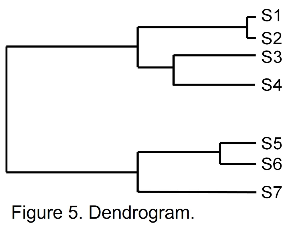 Solved (image) Given the dendrogram in Figure 5 and the | Chegg.com