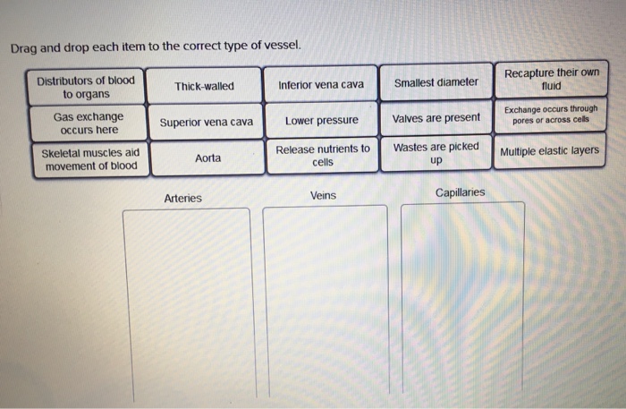 Solved Drag and drop each item to the correct type of | Chegg.com
