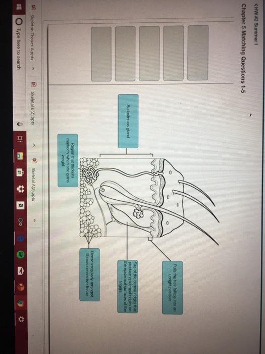 Solved (HW # 2 Summer I Chapter 5 Matching Questions 1-5 | Chegg.com Solved (HW # 2 Summer I Chapter 5 Matching Questions 1-5 | Chegg.com