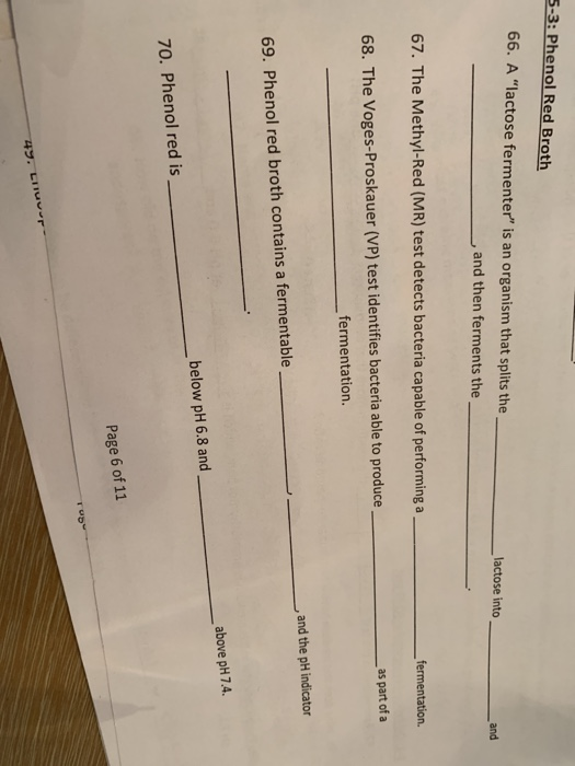 Solved the Voges- proskauer (VP) test detects bacteria | Chegg.com