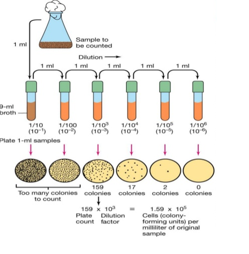 Solved 1 ml Sample to be counted Dilution 1 ml 1 ml 1 ml 1 | Chegg.com