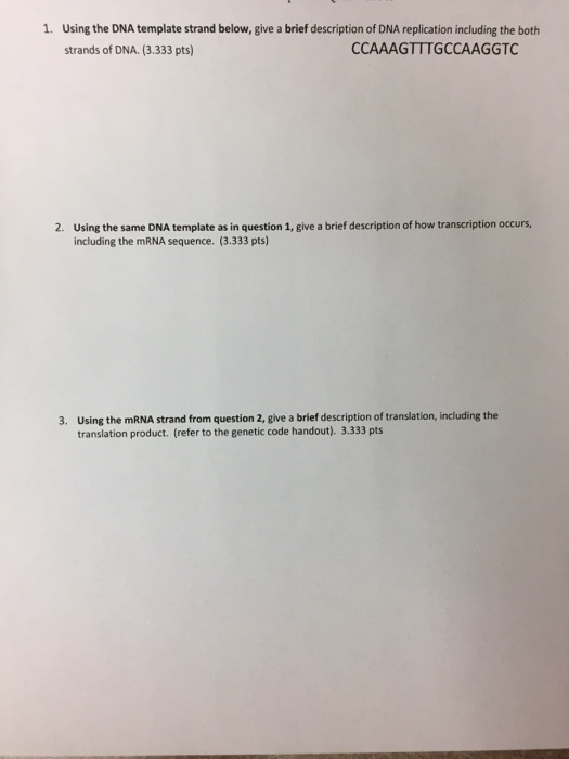 Solved 1. Using the DNA template strand below, give a brief | Chegg.com