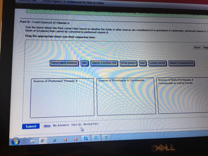 Solved Sort the items below into their correct bins based on | Chegg.com