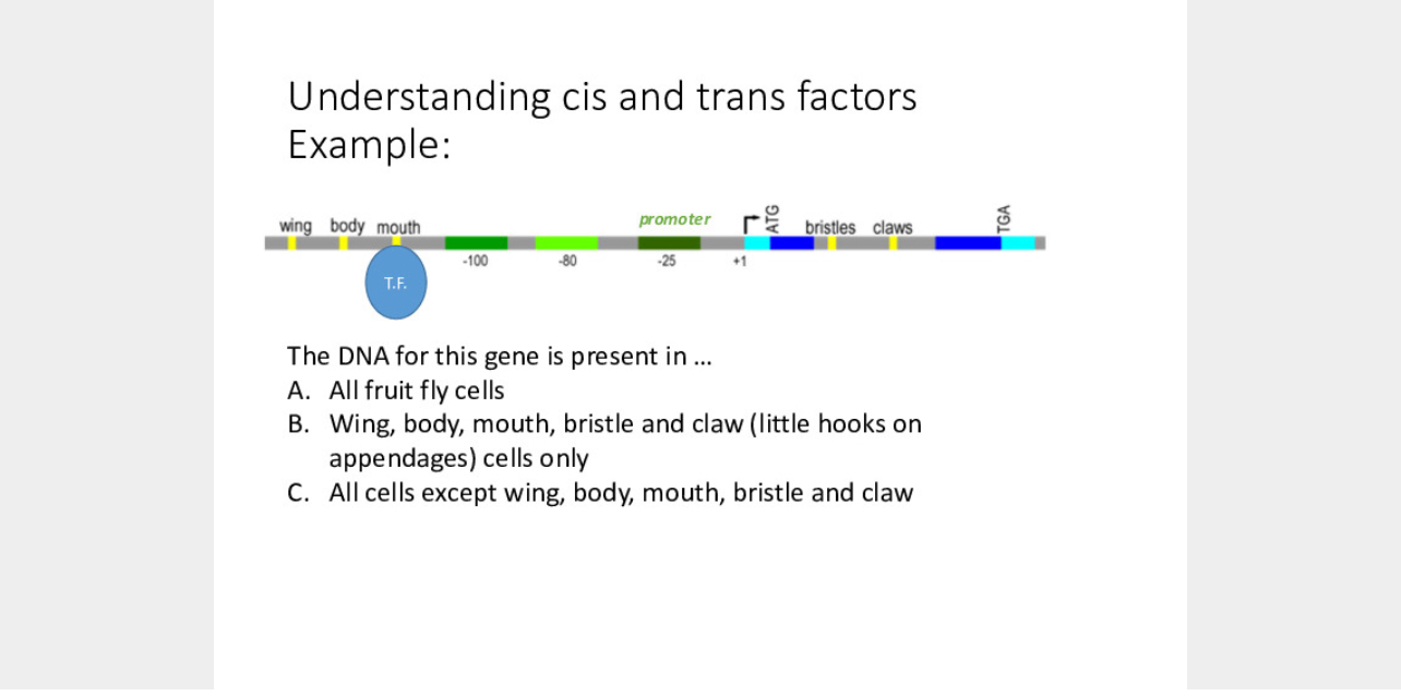 Solved Understanding cis and trans factors Example:The DNA | Chegg.com