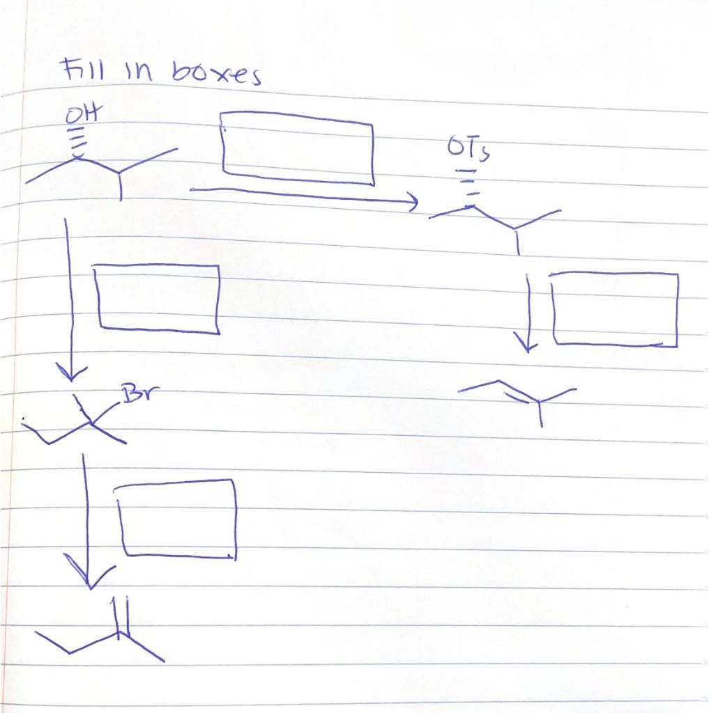 Solved Fill in boxes He 519 Br | Chegg.com
