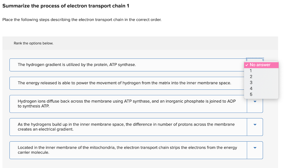 Solved Summarize the process of electron transport chain 1 | Chegg.com