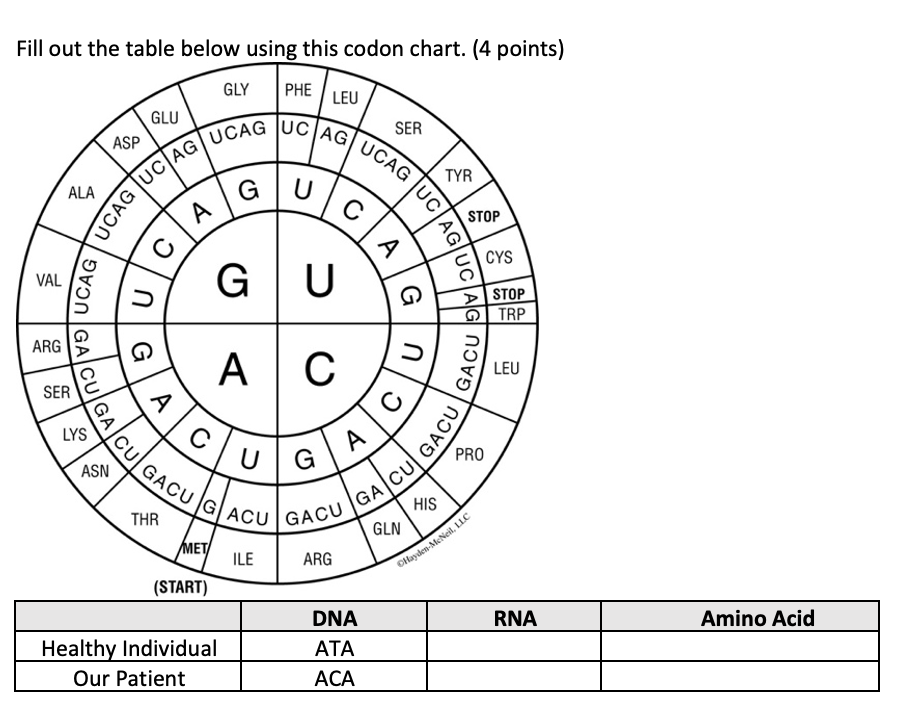 Solved UCAG UCAG UCAG novo 5von GA CUGA LEU GLU ALA С A C | Chegg.com