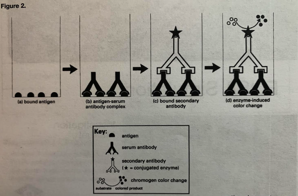 Solved Draw a diagram in the style of Figure 2 | Chegg.com