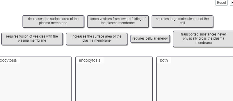 Solved decreases the surface area of theplasma membraneforms | Chegg.com