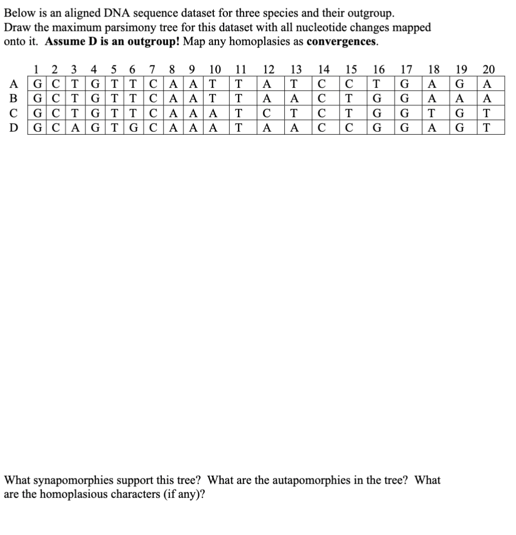 Solved Below Is An Aligned Dna Sequence Dataset For Three