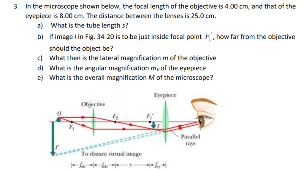 Solved In the microscope shown below, the focal length of | Chegg.com