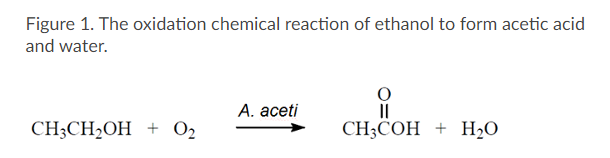 Solved Figure 1. The oxidation chemical reaction of ethanol | Chegg.com