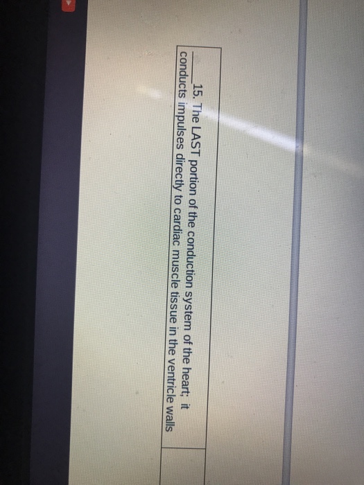 Solved Part A: Matching Match the descriptions in Column A | Chegg.com