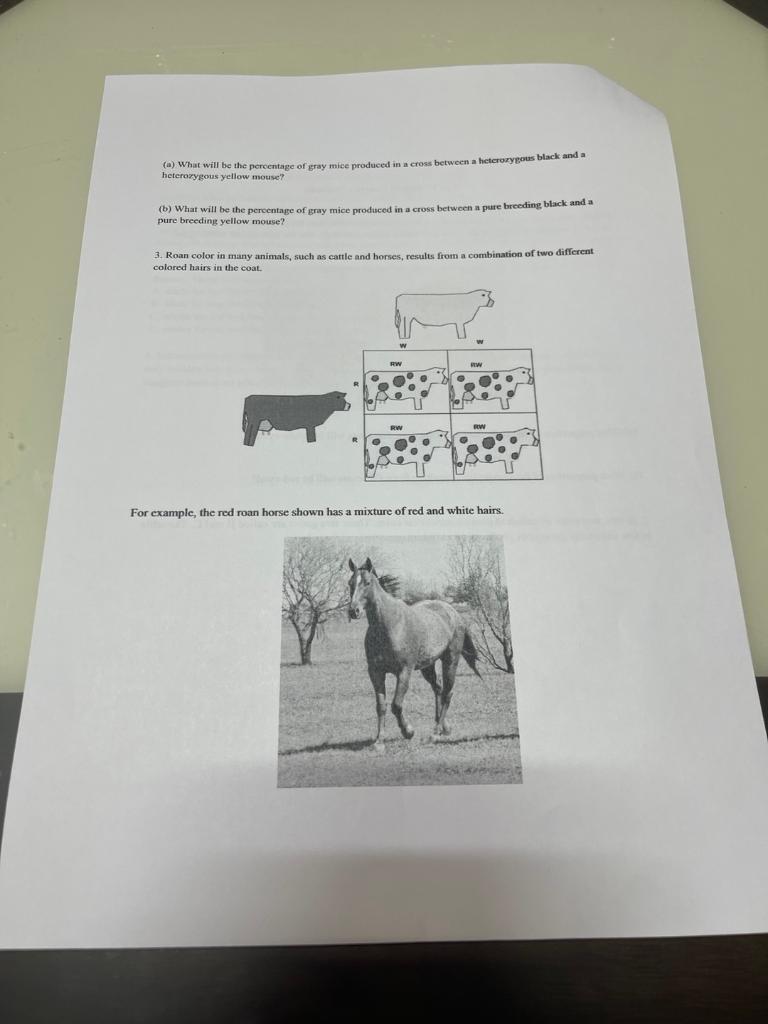 Solved AP Biology Non-Mendelian Genetics Problems 1. In | Chegg.com