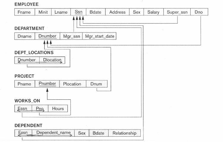 Solved For the following two queries specified on Company | Chegg.com