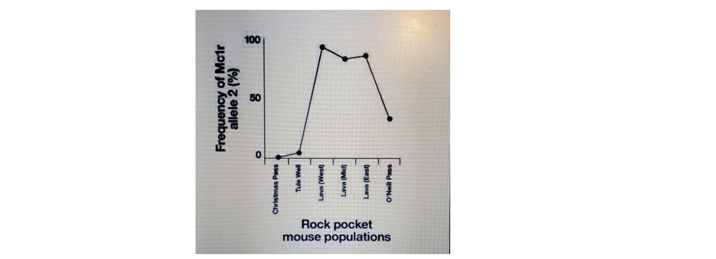 Solved Researchers that study evolution of pocket mice | Chegg.com