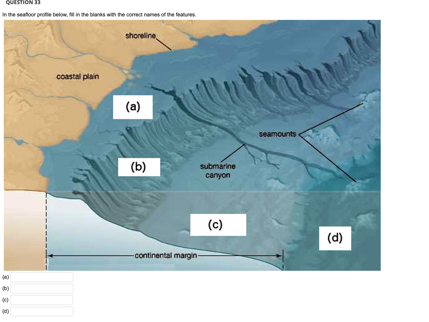 Solved In the seafloor profile below, fill in the blanks | Chegg.com