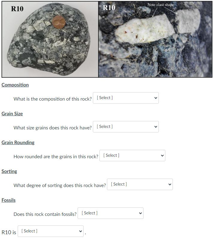 Solved CompositionWhat is the composition of this rock? [ | Chegg.com