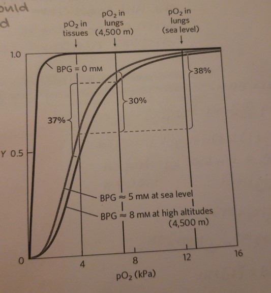 Solved uld pO2 in lungs (sea level) po2 in рог in lungs | Chegg.com