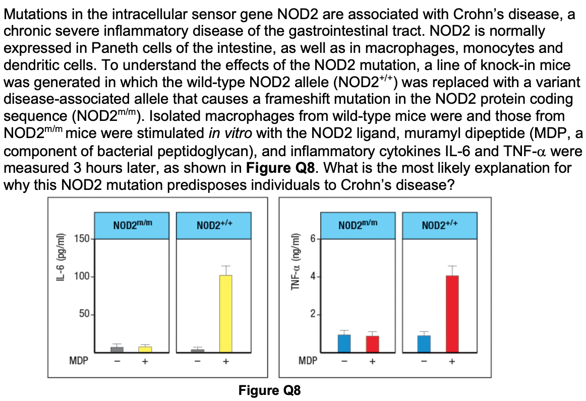Solved Mutations in the intracellular sensor gene NOD2 are | Chegg.com
