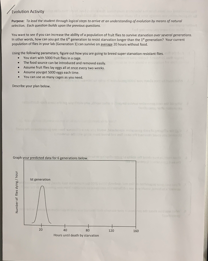 Solved Evolution Activity Purpose: To lead the student | Chegg.com