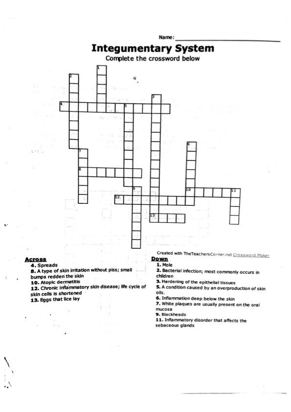 Name: Integumentary System Complete the crossword | Chegg.com