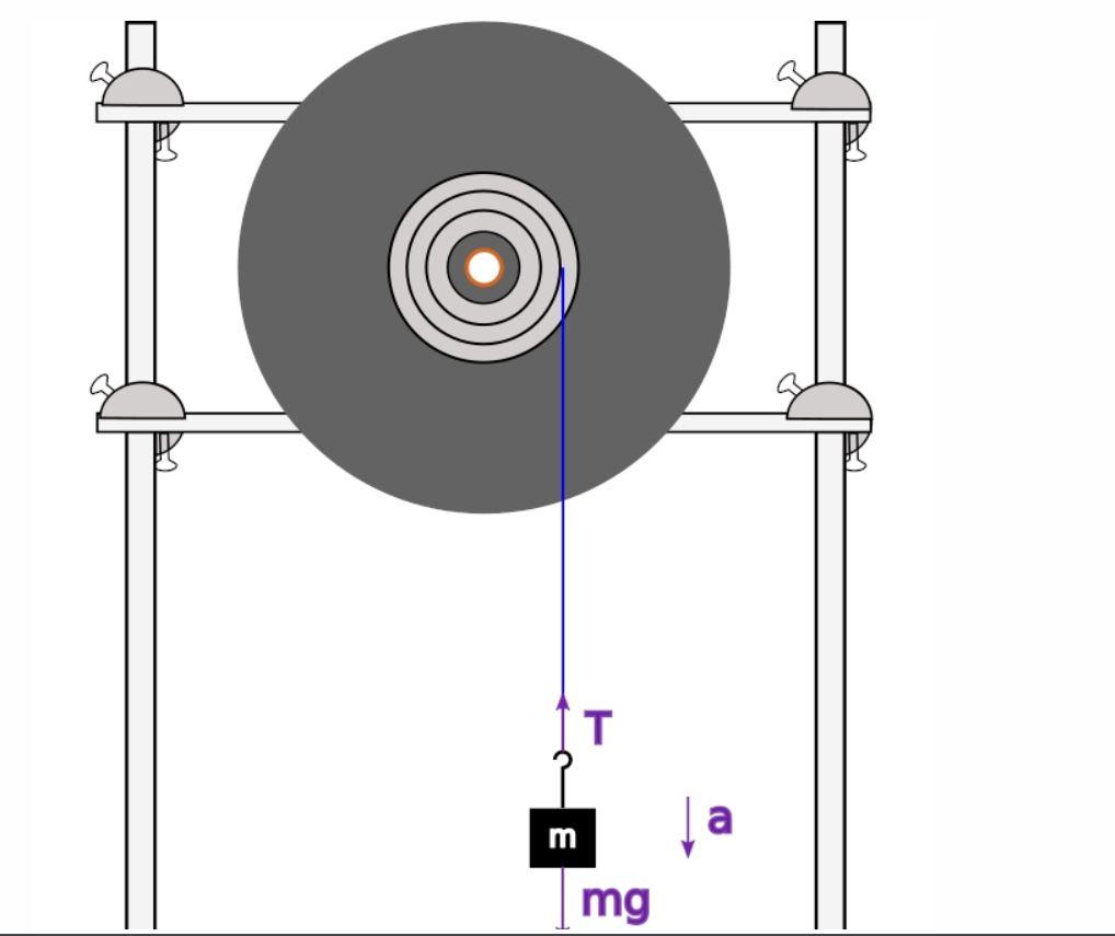 Solved Hi, I am doing a lab where we are measuring tension | Chegg.com