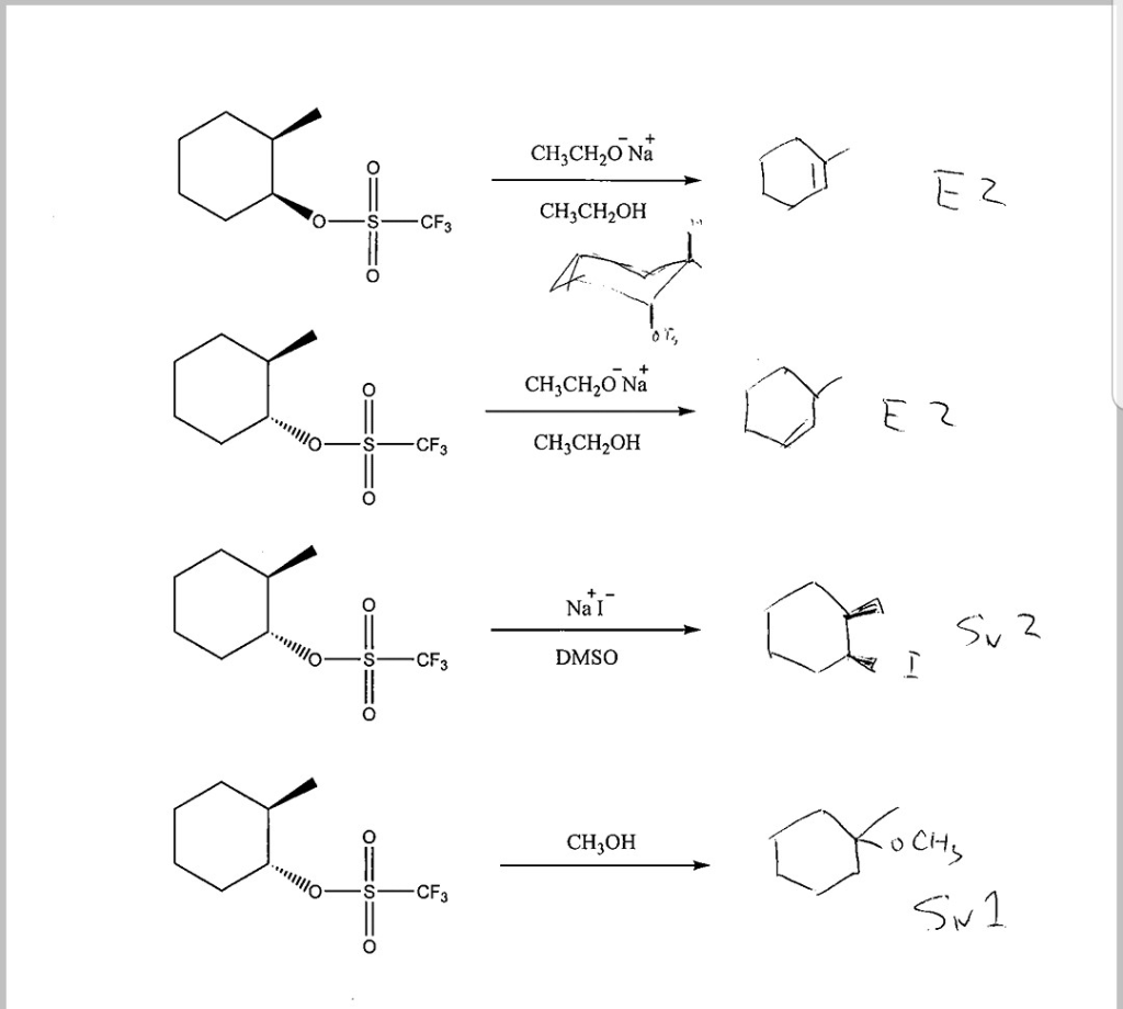 Solved t-Bu-OH Br t-BuOK CH3CN INH, VH IV CH3CH2OH NH3 Slow | Chegg.com
