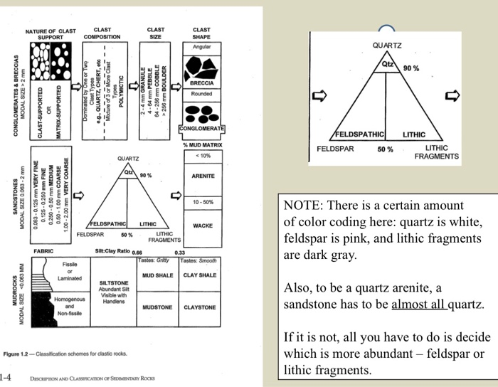 Solved DESCRIPTION AND CLASSIFICATION OF SEDIMENTARY ROCKS | Chegg.com