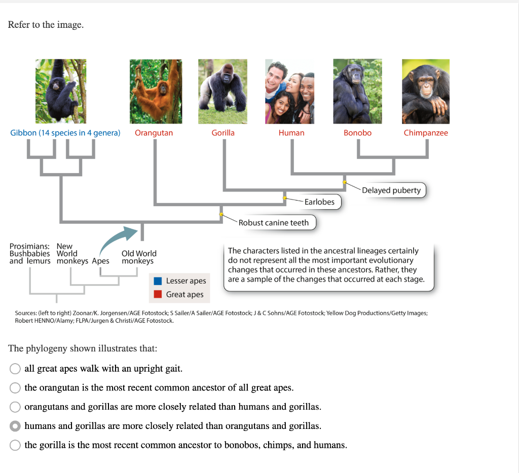 Solved Hi I was wondering if someone could explain how it is | Chegg.com