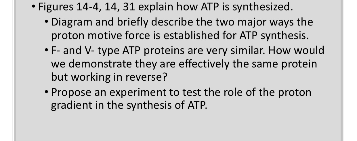 Solved - Figures 14-4, 14, 31 explain how ATP is | Chegg.com