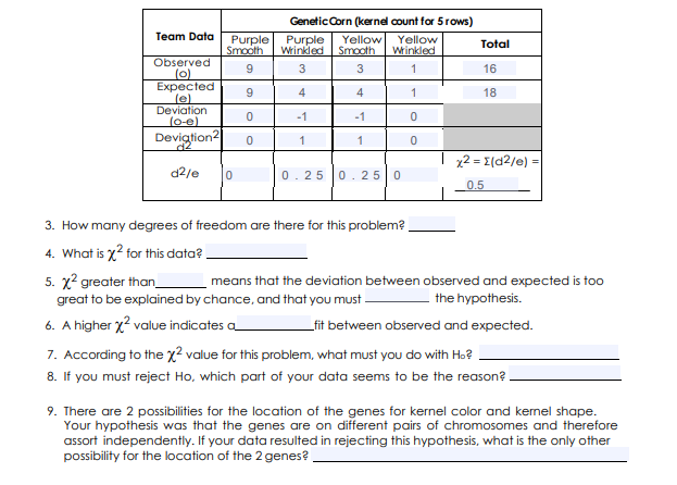 Solved Genetic Corn (kernel count for 5 rows) Purple Yellow | Chegg.com