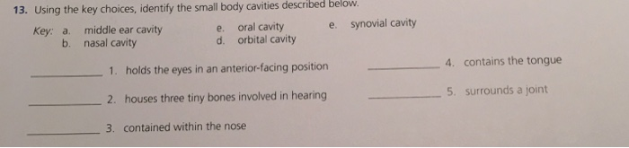 Solved 13. Using the key choices, identify the small body | Chegg.com
