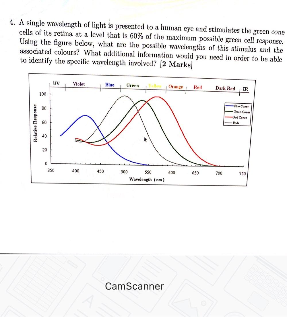 Solved 4. A single wavelength of light is presented to a | Chegg.com