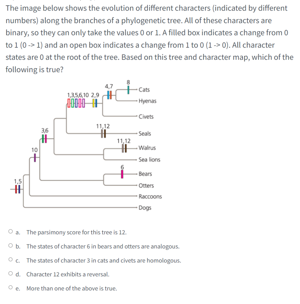 Solved The image below shows the evolution of different | Chegg.com