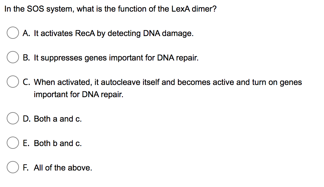 Solved In the SOS system, what is the function of the LexA | Chegg.com