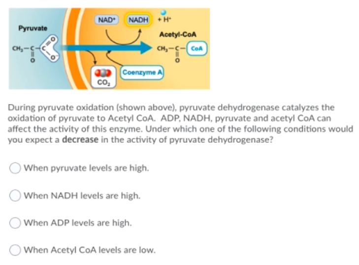 Solved NAD Pyruvate NADH +H Acetyl-CoA CH, ---COA CH, --- | Chegg.com