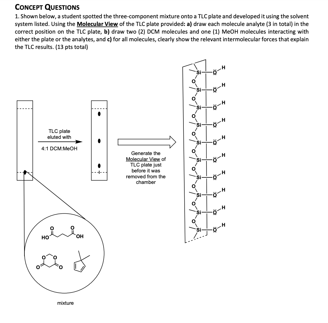 Solved CONCEPT QUESTIONS 1. Shown below, a student spotted | Chegg.com