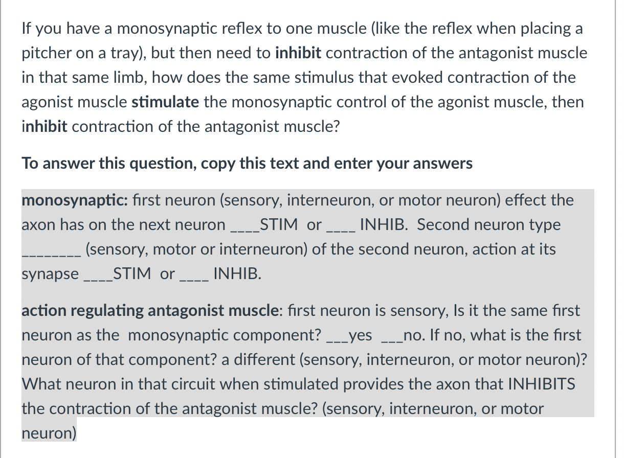 Solved If you have a monosynaptic reflex to one muscle (like | Chegg.com