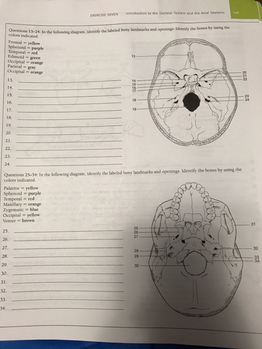 Solved In the following diagram, identify the labeled bony | Chegg.com