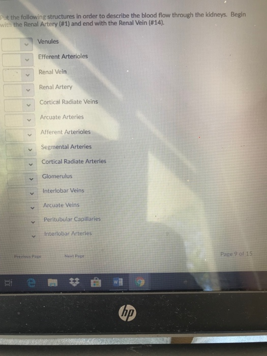 Solved t the following structures in order to describe the | Chegg.com