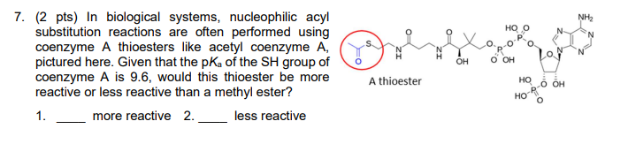 Solved NH2 ZI o OH O OH 7. (2 pts) In biological systems, | Chegg.com